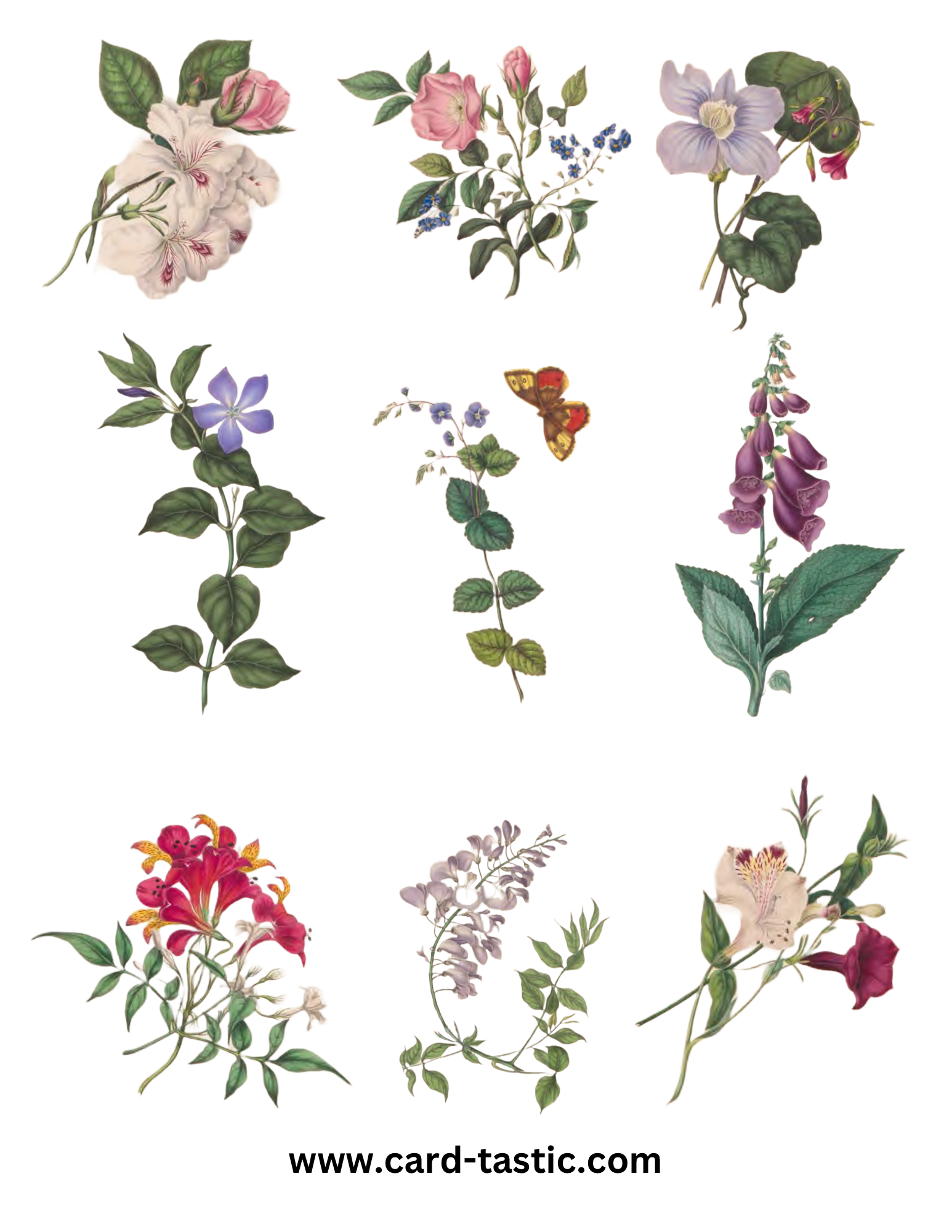 Vintage Flowers – Card-Tastic